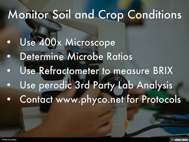 Phyco BioNutrients | PDF