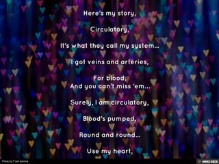 The Body System | PDF