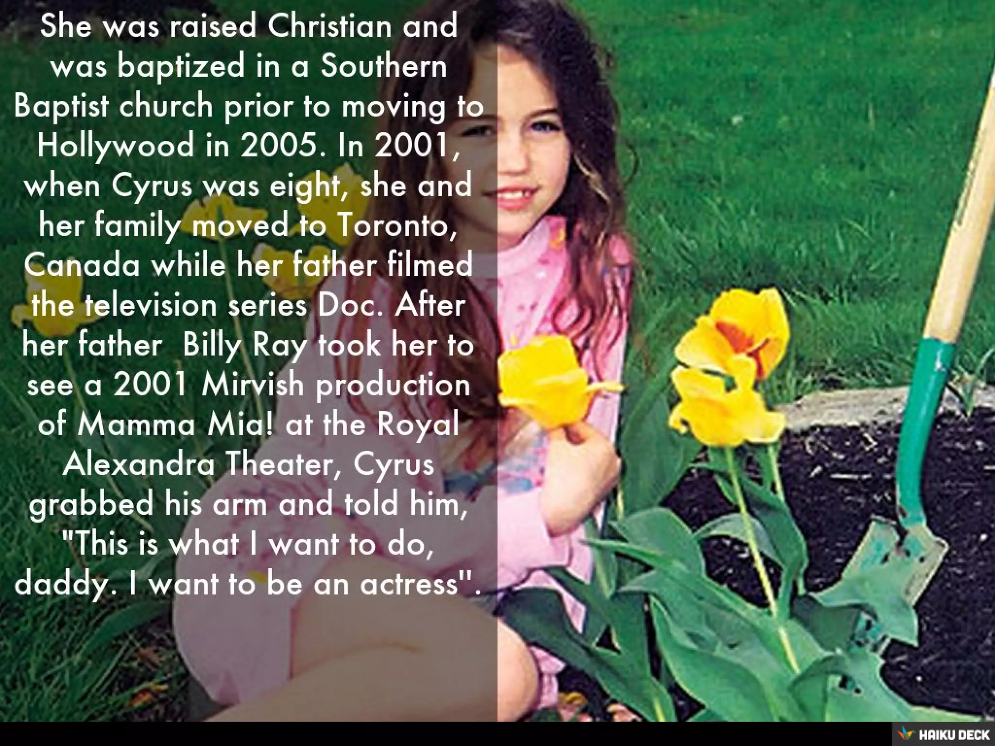 Miley Cyrus : Pop Princess | PDF