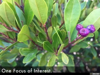 Digital Imaging | Photoshop | Assessment Task | Photographic ...