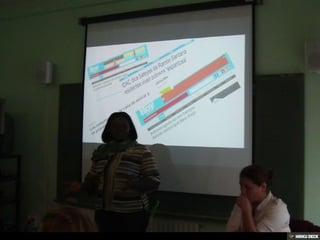 Untitled Presentation | PPT