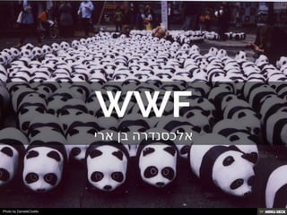 WWF | PDF