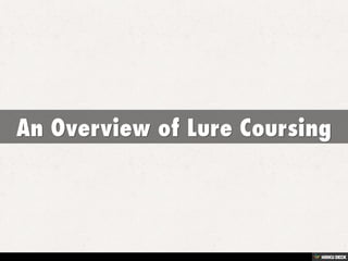 An Overview of Lure Coursing | PPT