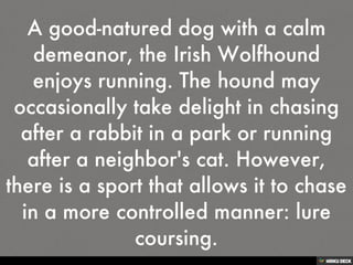 An Overview of Lure Coursing | PPT