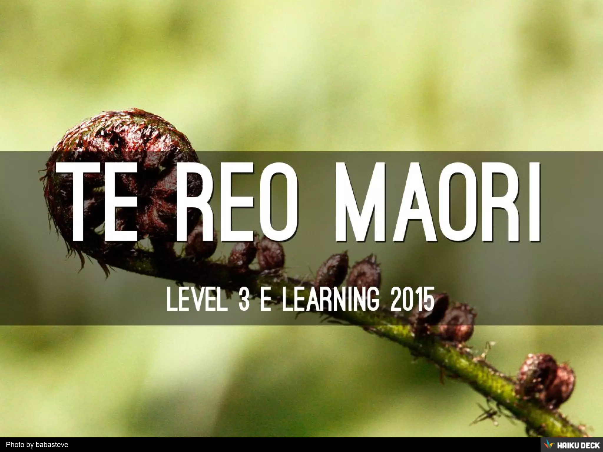 Te Reo Maori Level 3 | PPT
