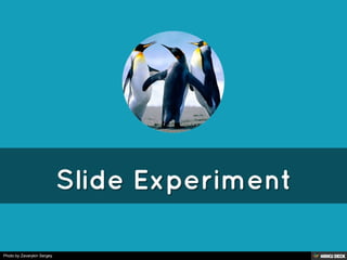 Slide Experiment | PPT