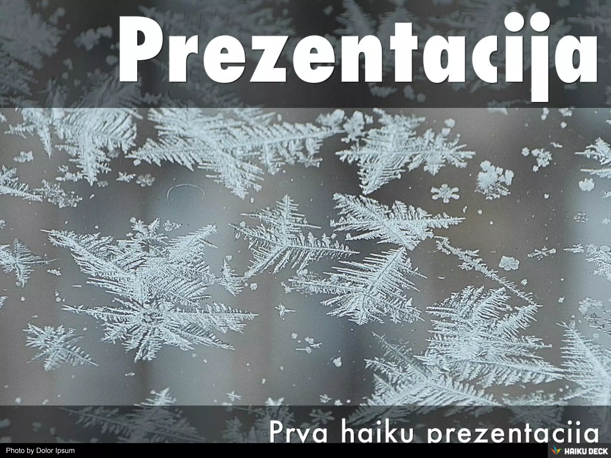 Prezentacija | PPT