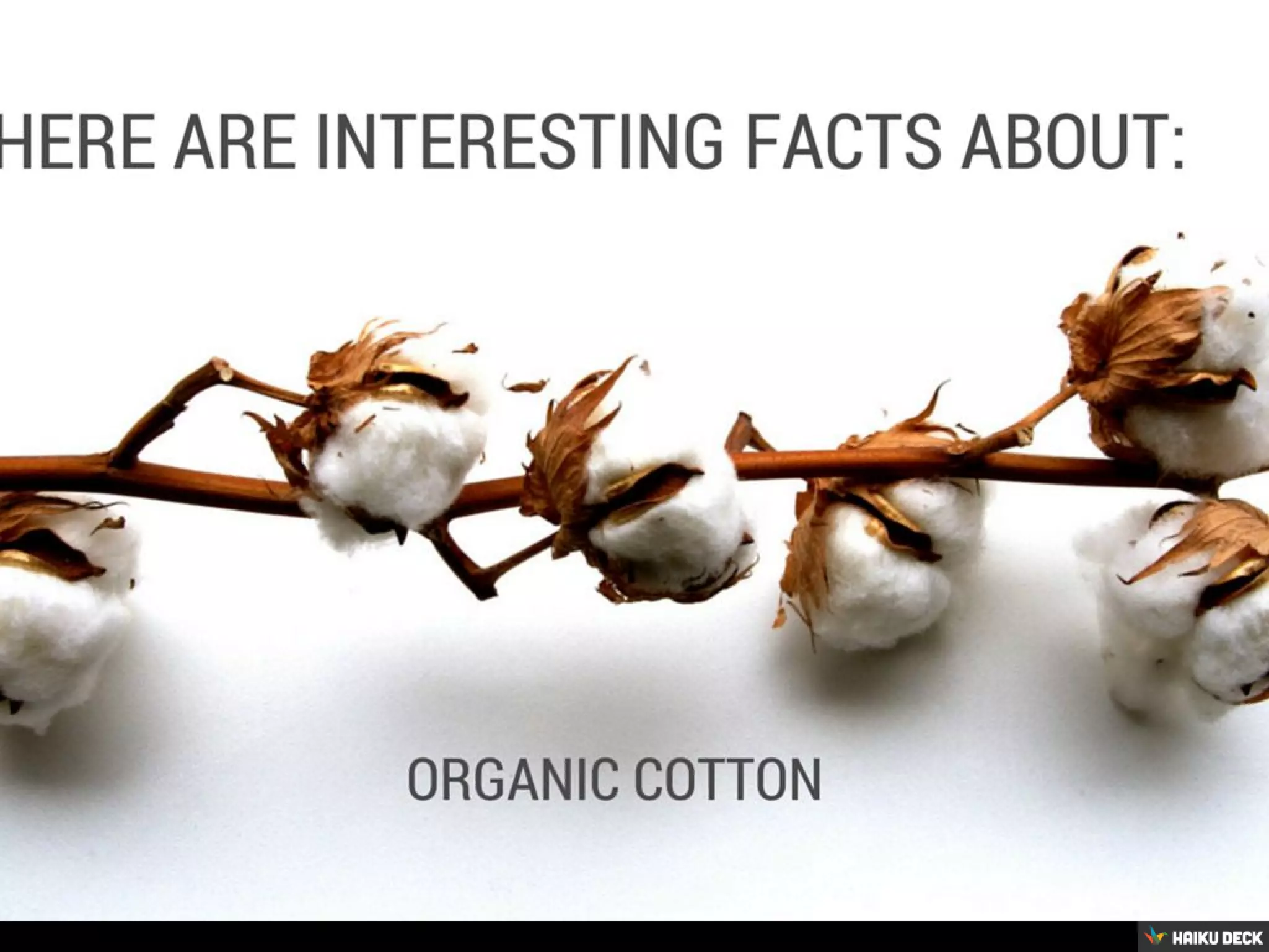 Interesting facts about organic cotton | PPT