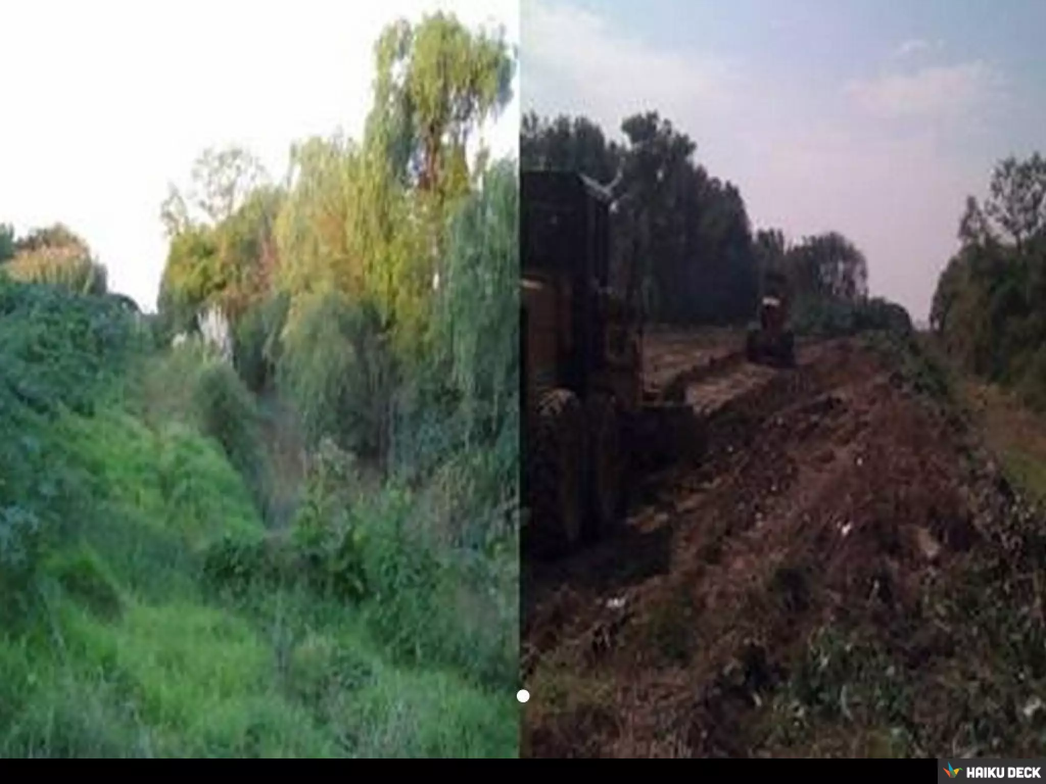 COMPARING PICTURES | PDF