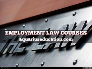 Employee Classification | PDF