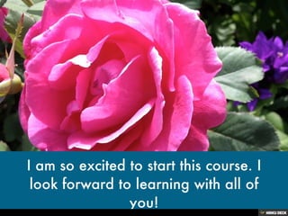Hello from Lisa EDU 744 | PDF