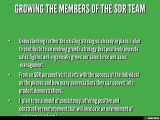 90 Day Leadership Plan | PDF