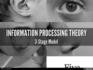 Learning Theories | PDF