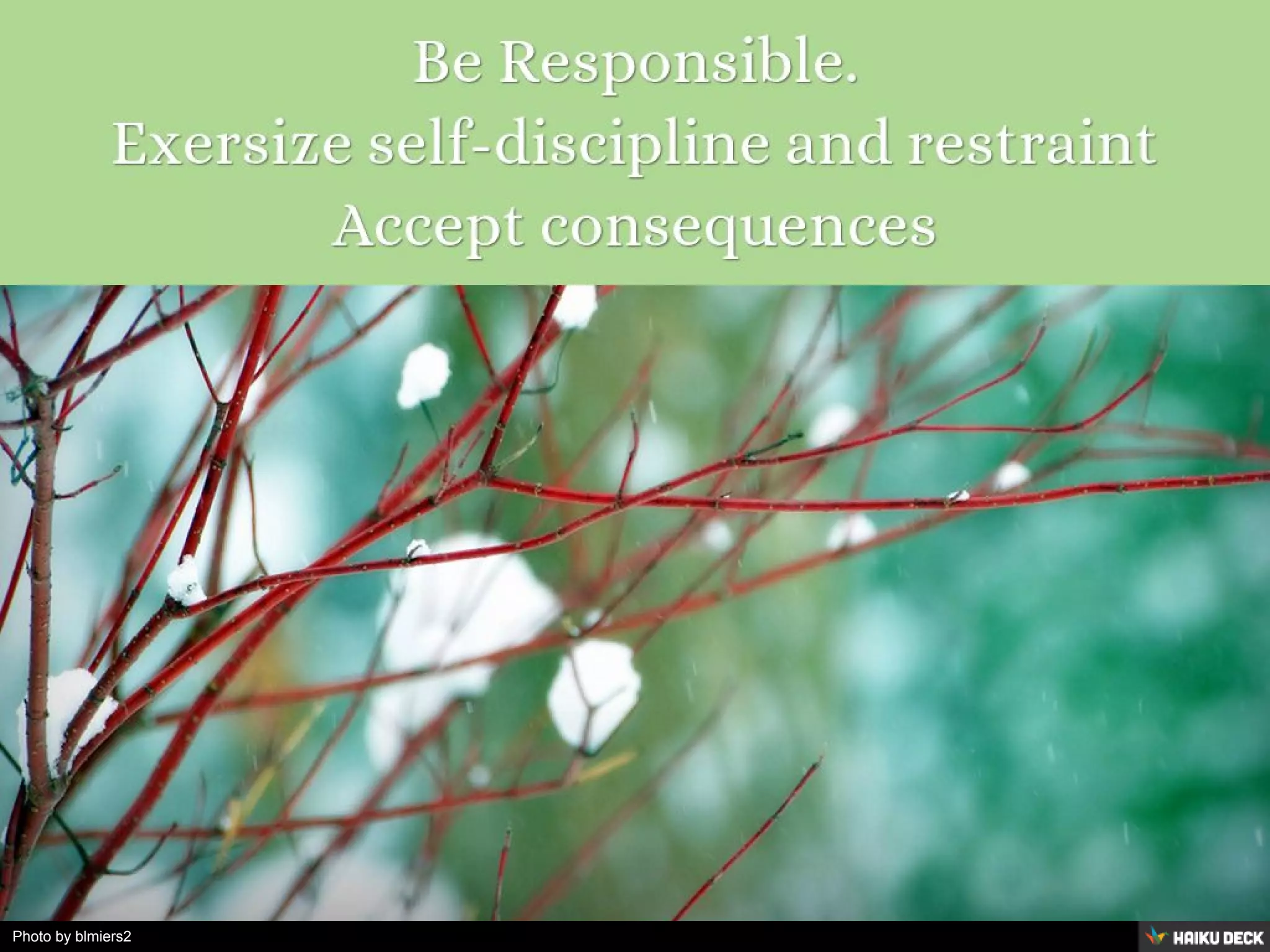 6 Pillars of Character | PDF