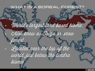 Boreal Forest | PPT
