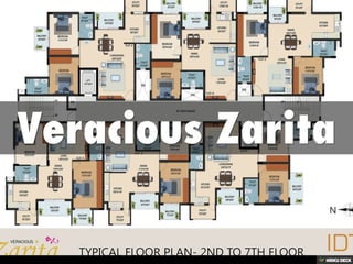 Veracious Zarita | PDF
