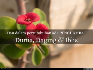 BERTUMBUH DALAM KASIH KARUNIA | PPT