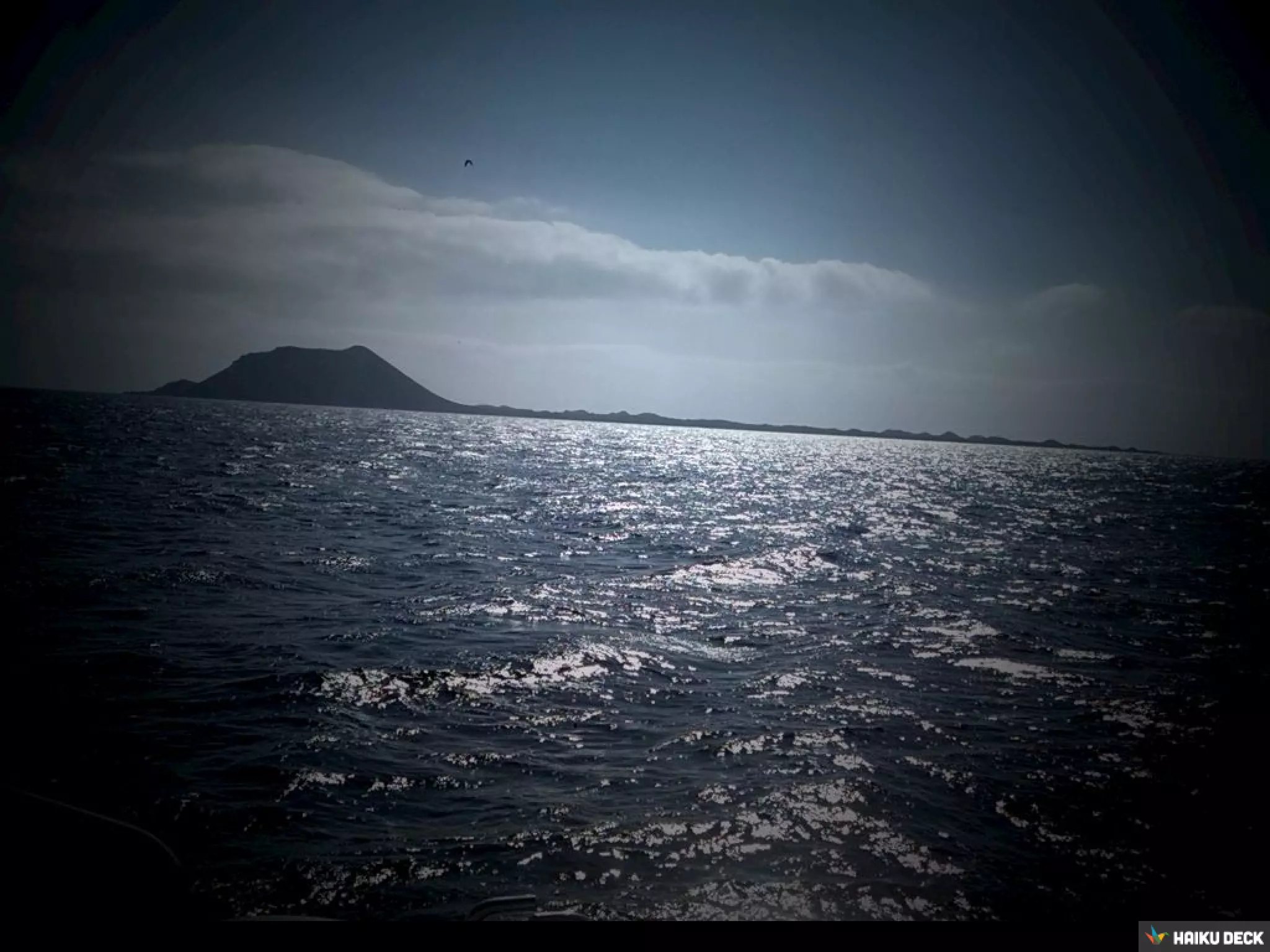 Convivencia en isla de Lobos | PPT