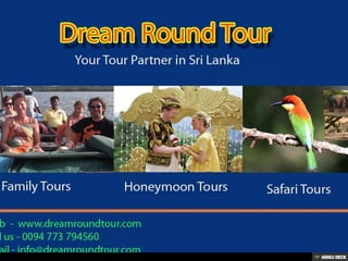 Dream Round Tour | PDF