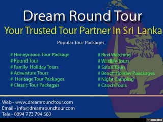 Dream Round Tour | PDF