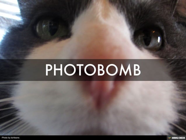 NUEVAS FORMAS DE EXPRESIÓN DIGITAL | PPT