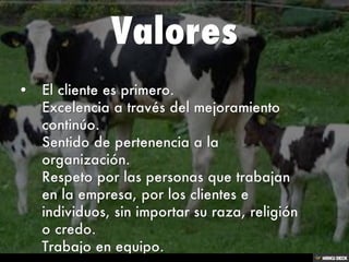 Proyecto Yogurt-K-Cero | PDF