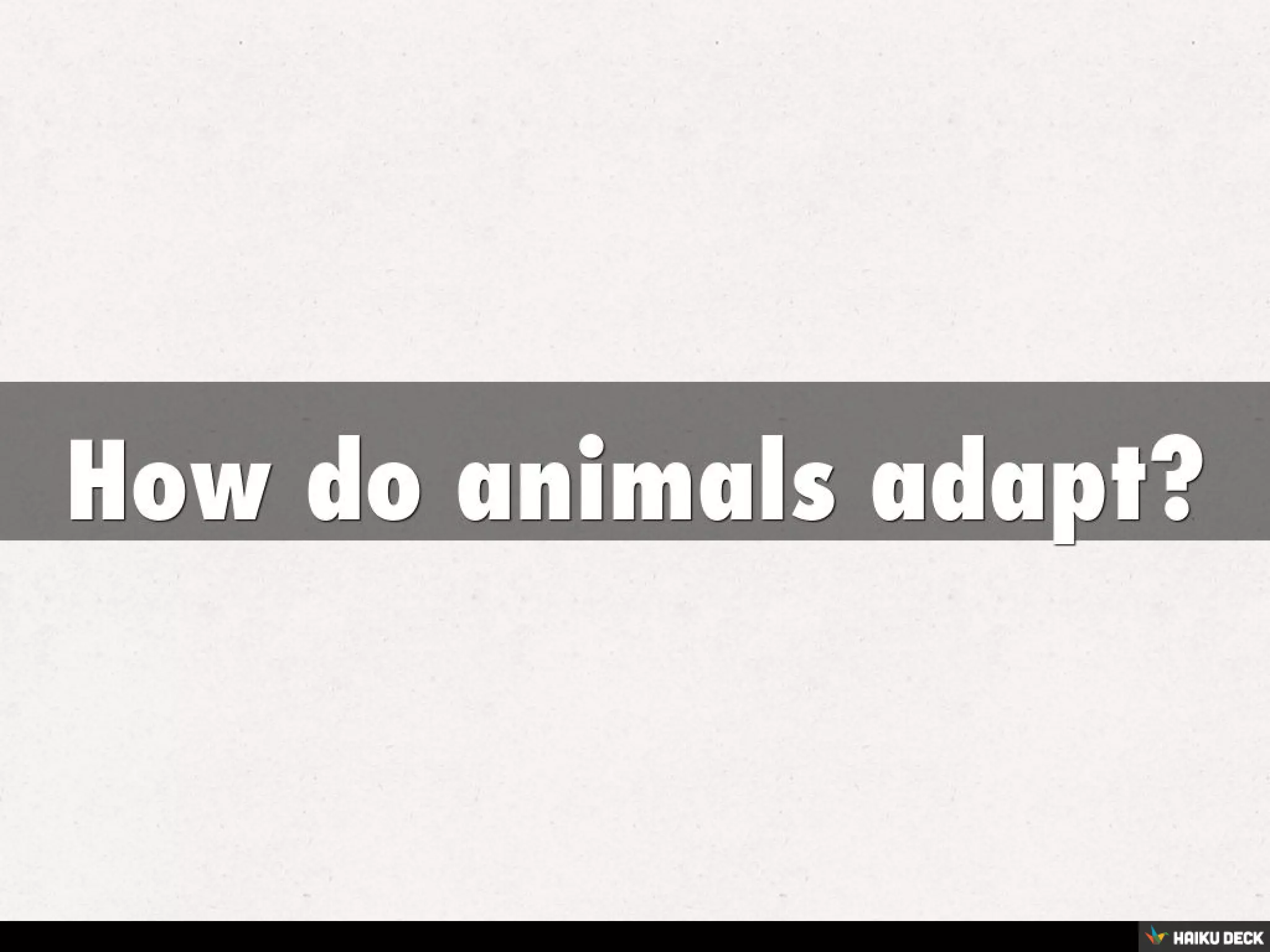 How do animals adapt? | PDF