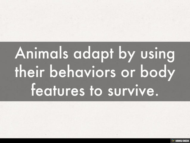 How do animals adapt? | PDF