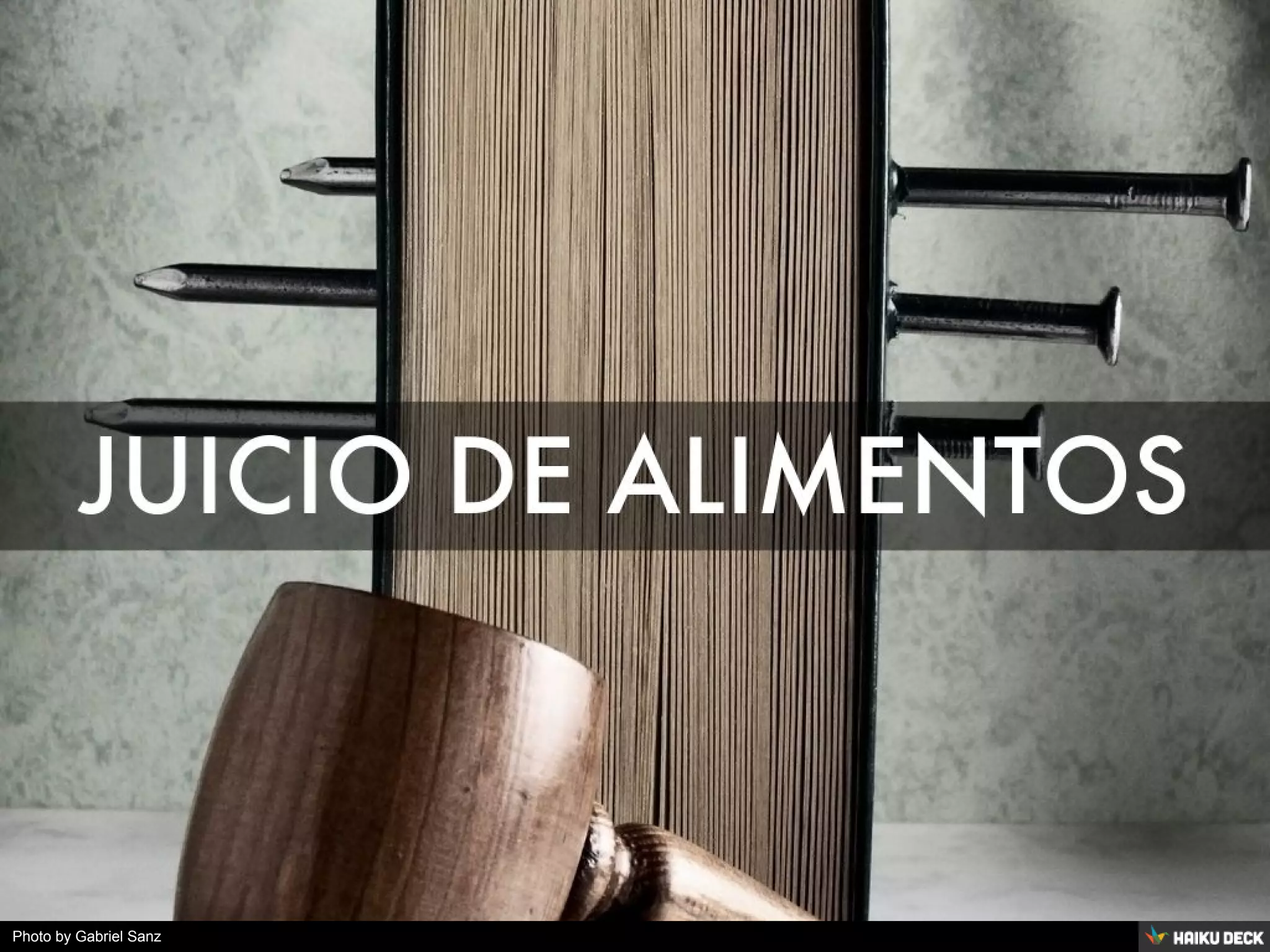 JUICIO DE ALIMENTOS | PDF