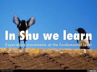 Shu Ha Ri - Three stages of an organization | PDF