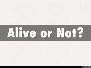 Alive or Not? | PPT