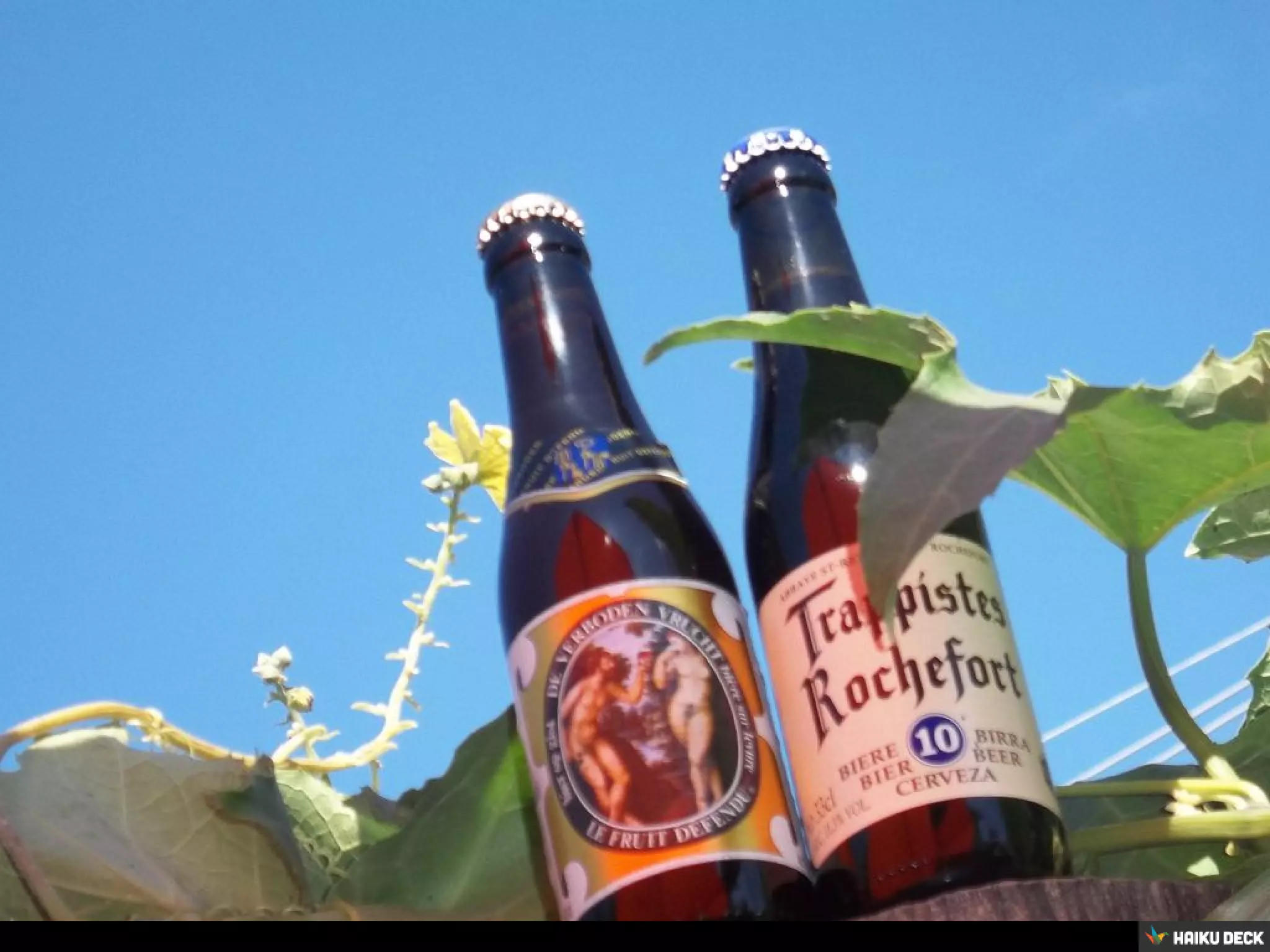 Untitled Presentation | PDF