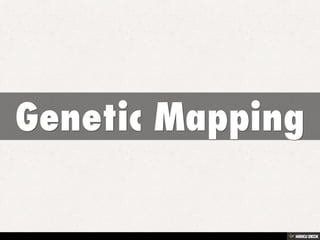Genetic Mapping | PDF