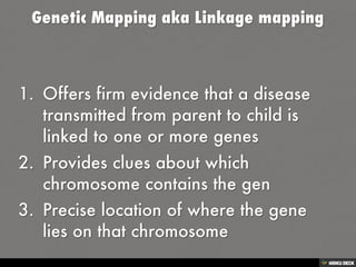 Genetic Mapping | PDF