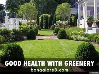 GOOD HEALTH WITH GREENERY | PDF