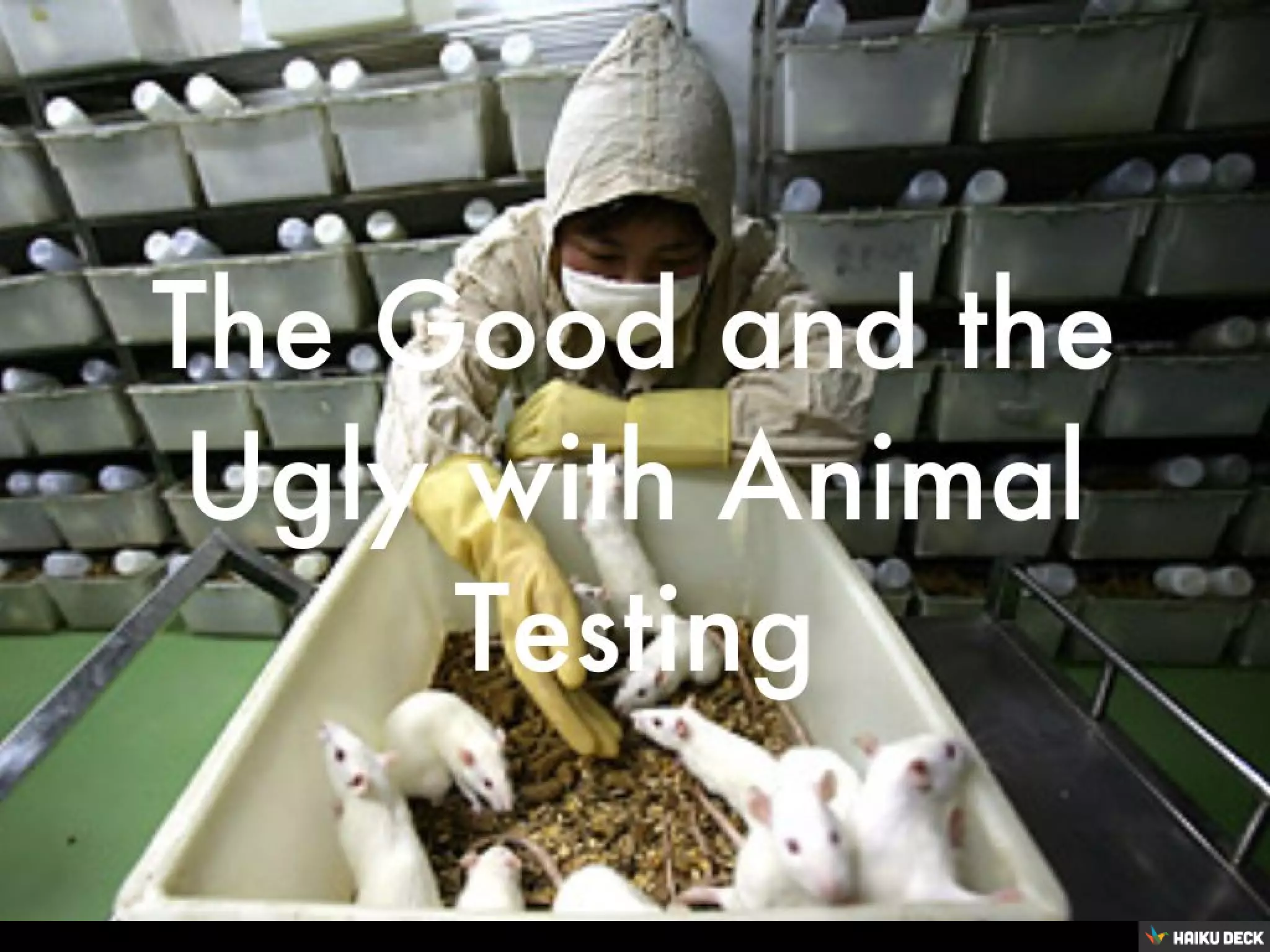 The Good and the Ugly with Animal Testing | PDF