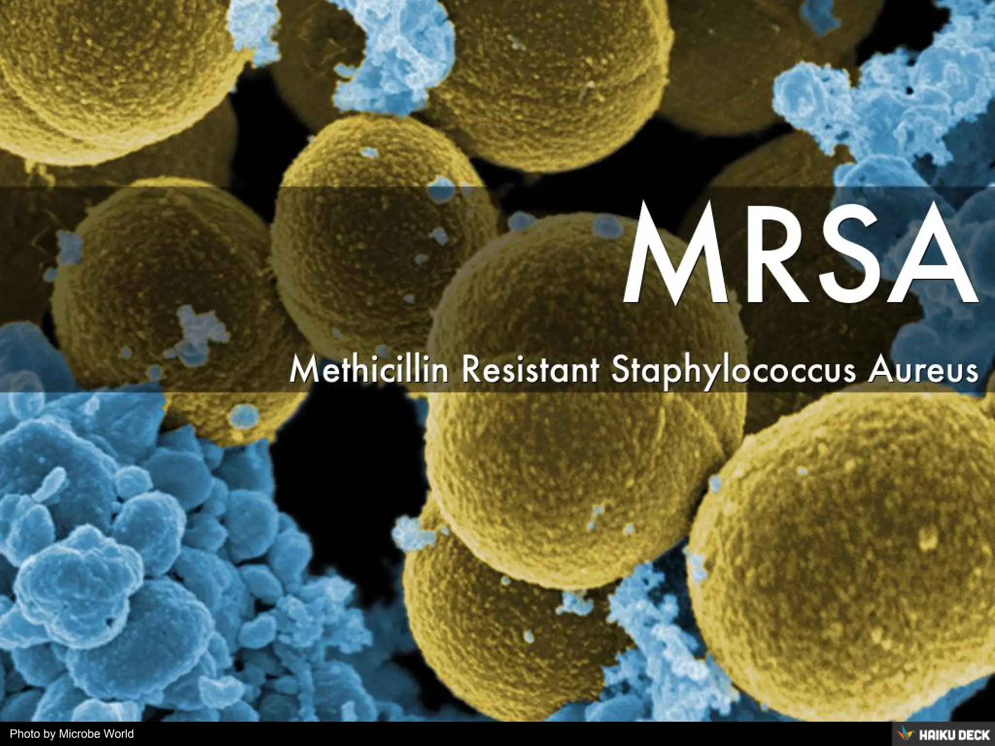 MRSA | PDF