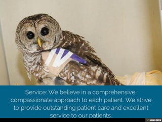 SMART Pain Management | PDF