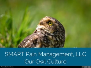 SMART Pain Management | PDF