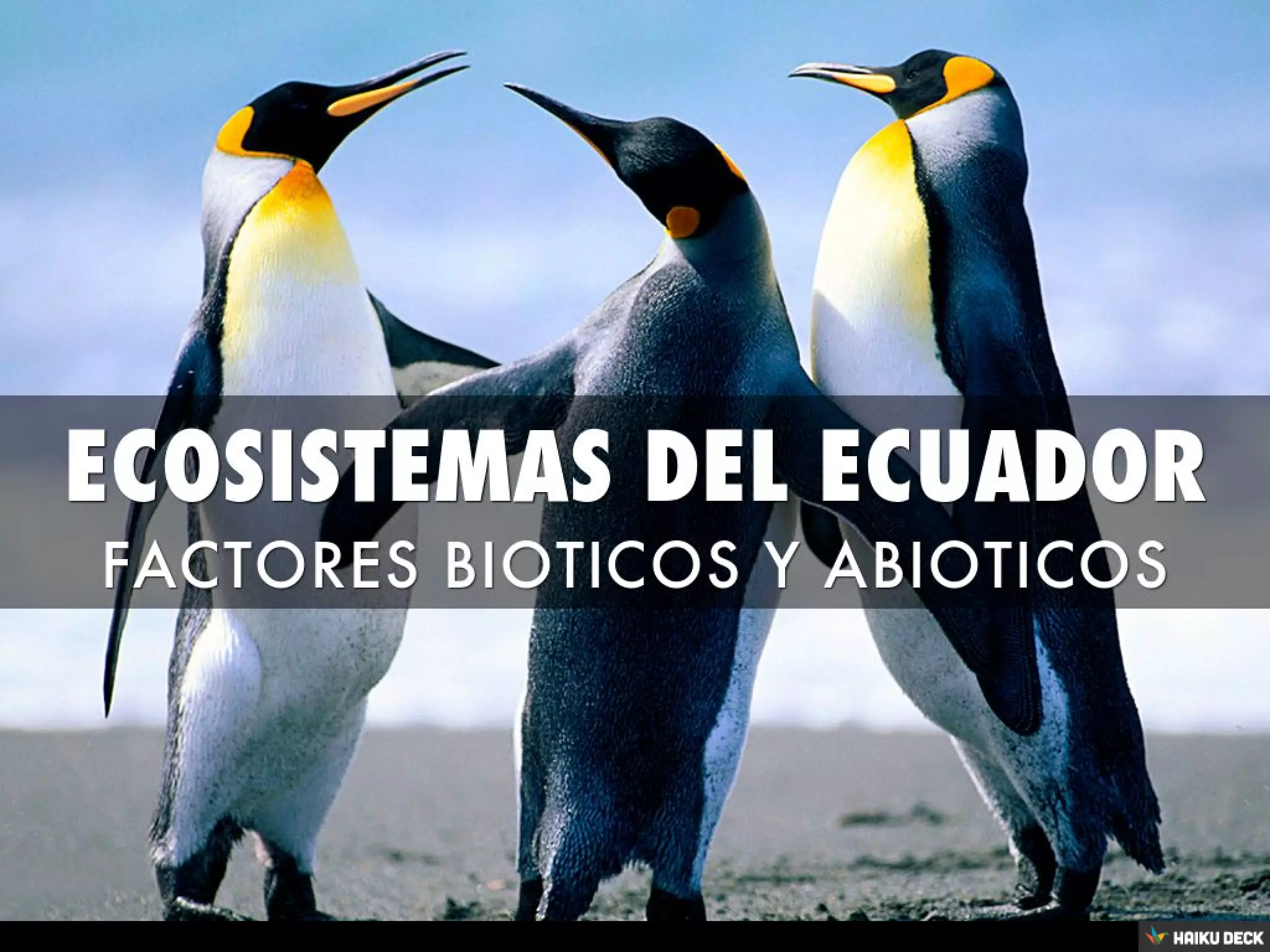 PRACTICA UPS A10 | PDF