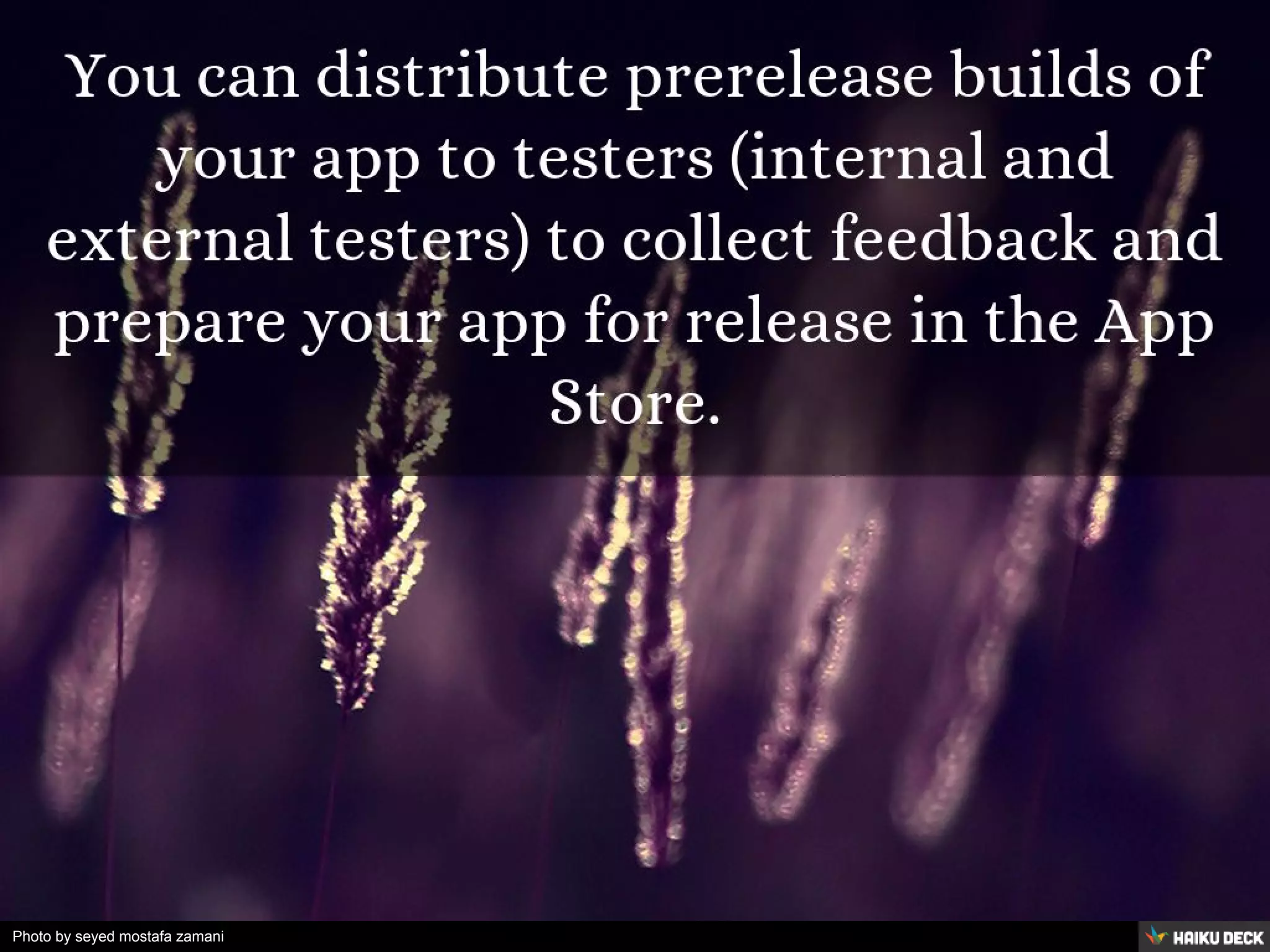 TestFlight Beta Testing | PDF
