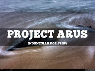 Branding Oracle PeopleSoft Interaction Hub | PPT