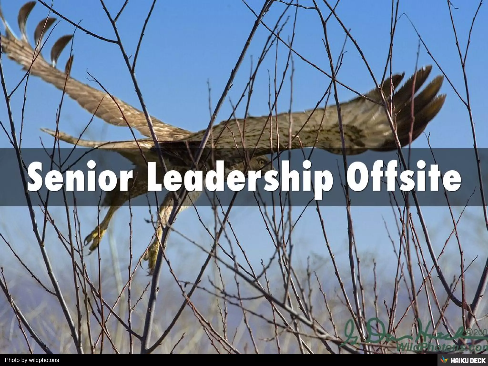 Senior Leadership Offsite | PDF