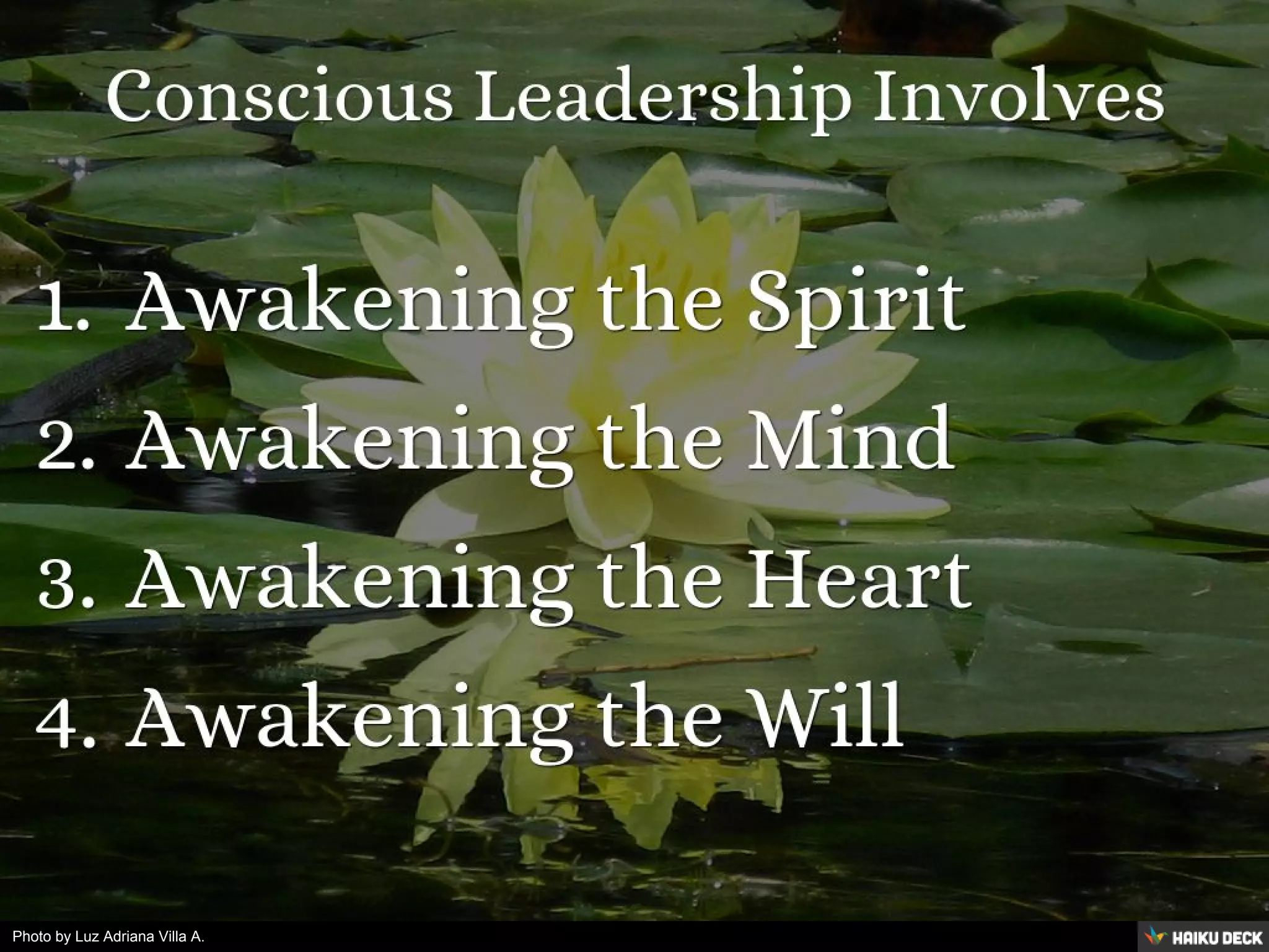 Conscious Leadership | PDF