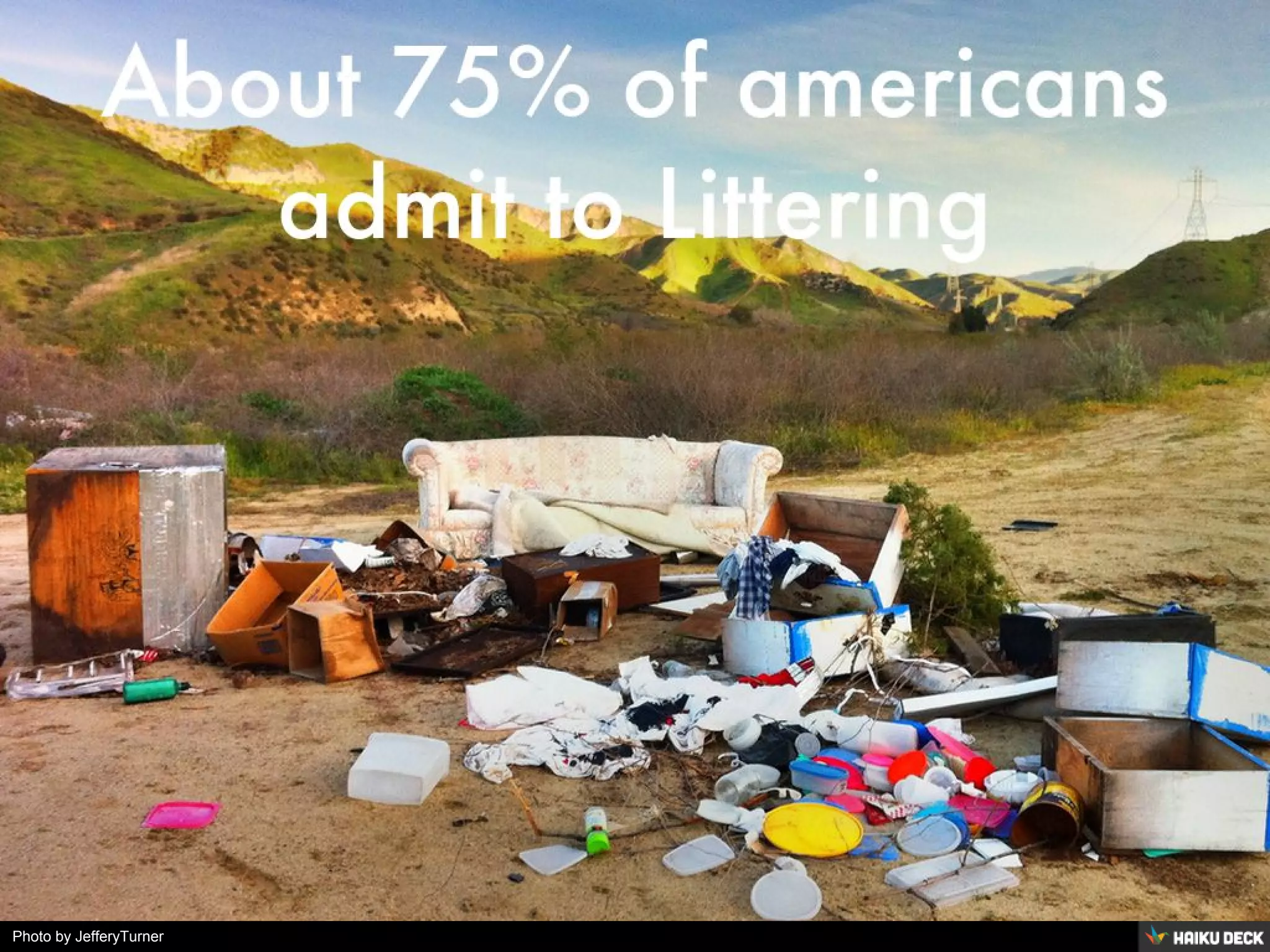 Littering | PDF