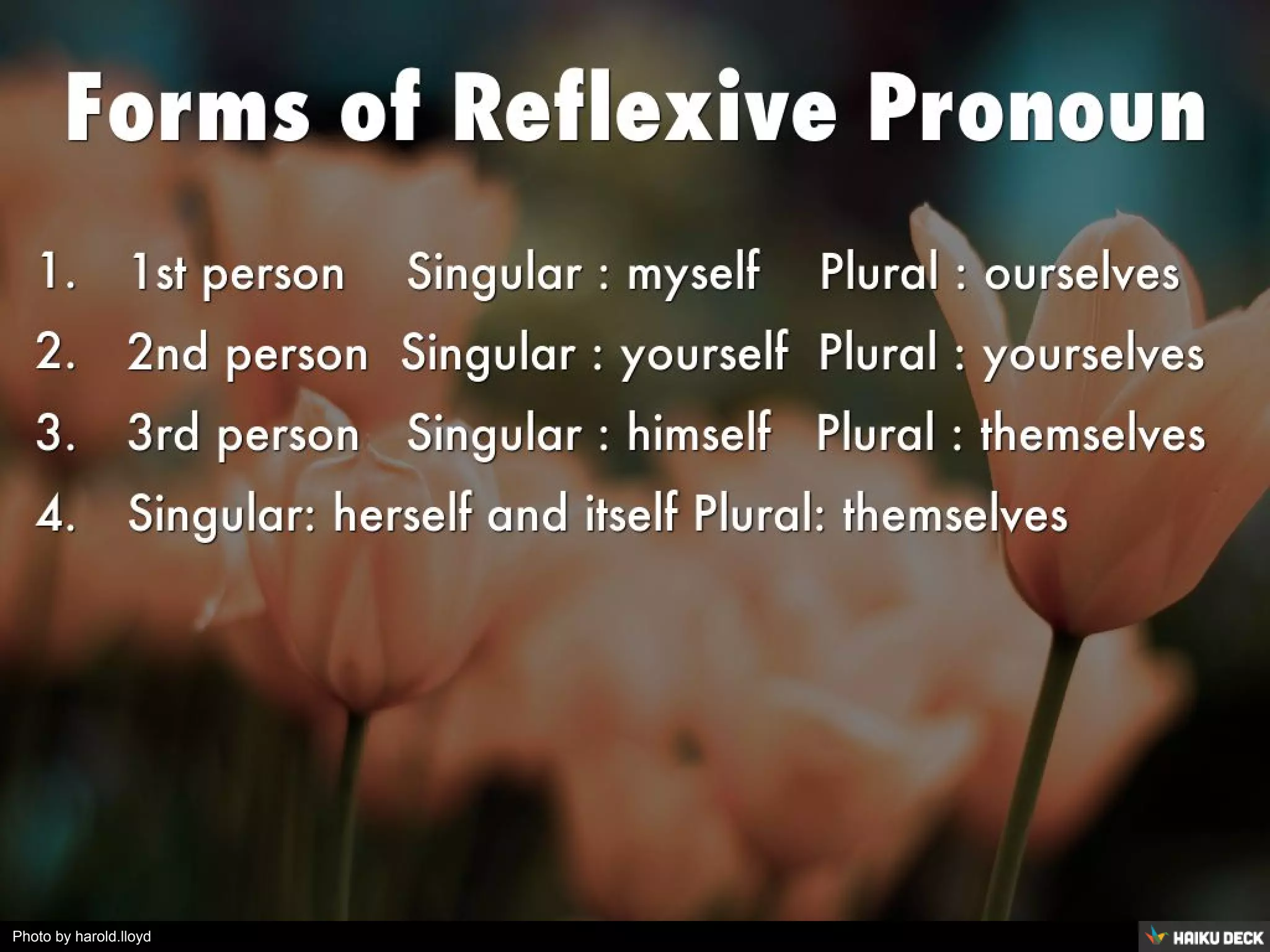 Reflexive Pronoun | PPT