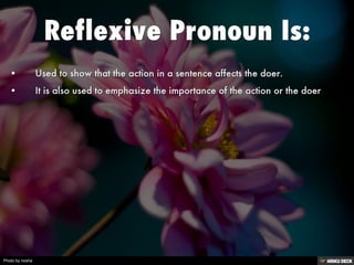 Reflexive Pronoun | PDF