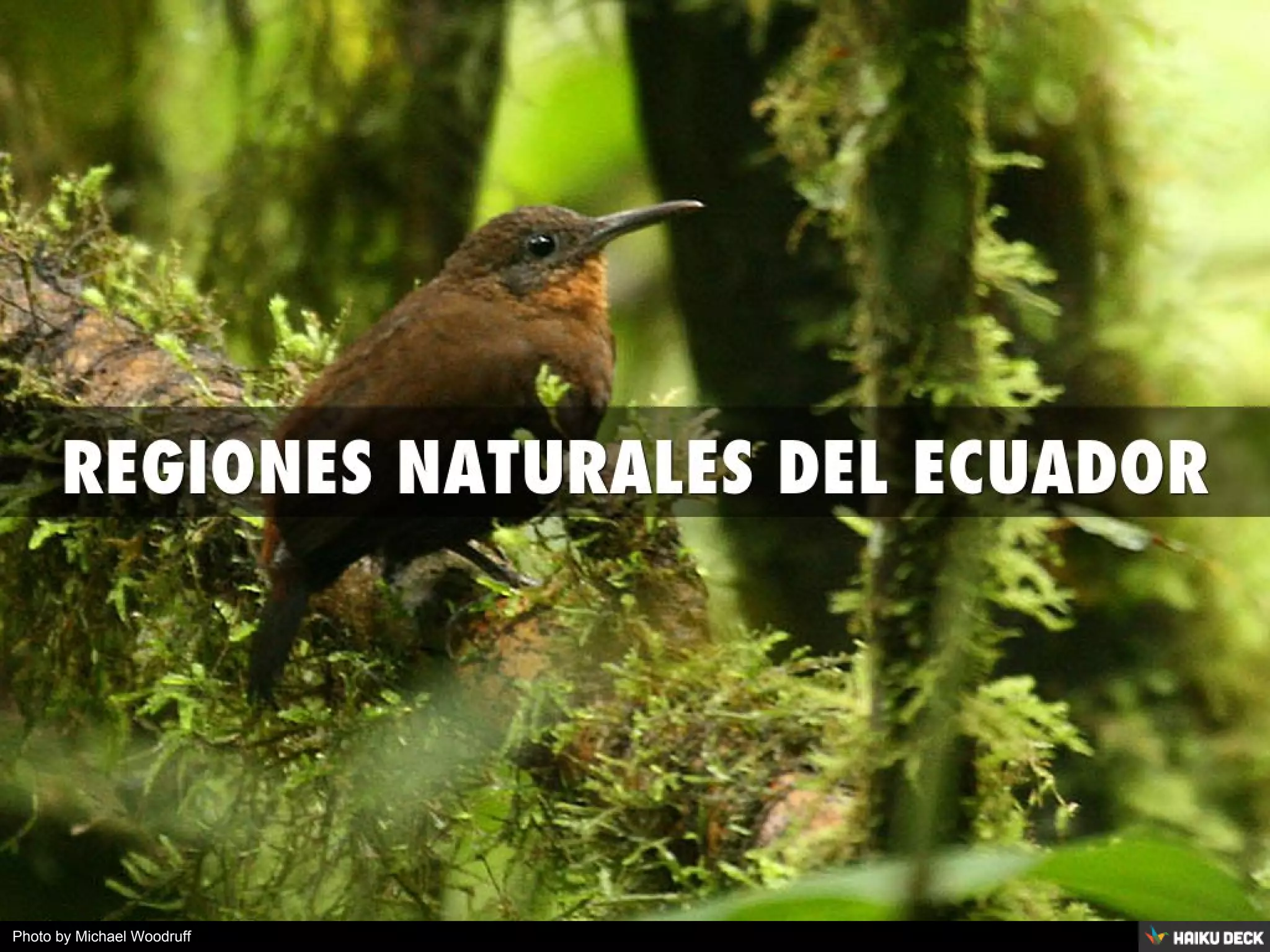 REGIONES NATURALES DEL ECUADOR | PPT