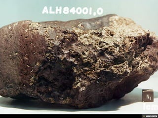 Cosmozoica theory | PDF