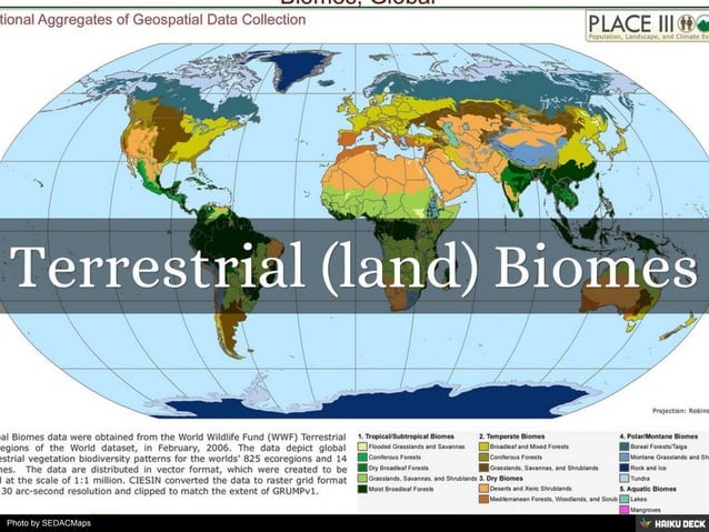 Biomes | PDF